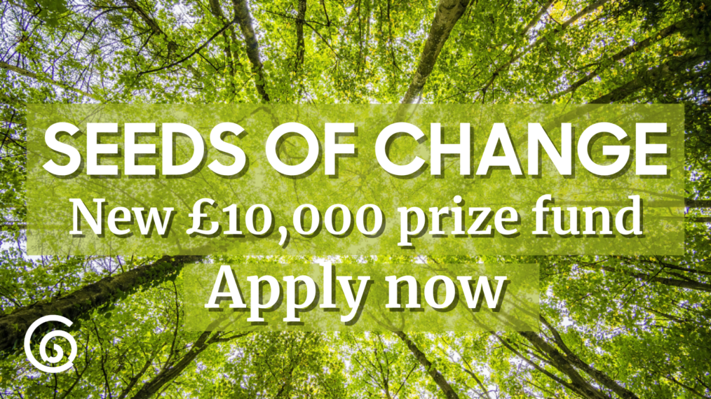 Seeds of Change – The Association For Cultural Enterprises